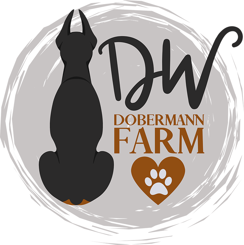 DW Doberman Farm – European Dobermans